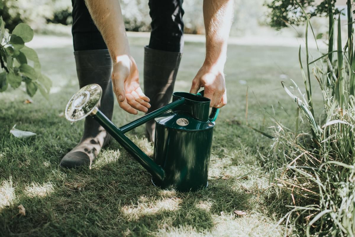 The Warley Fall & Bearwood Brook - Balanced Pair - One Gallon – Haws US