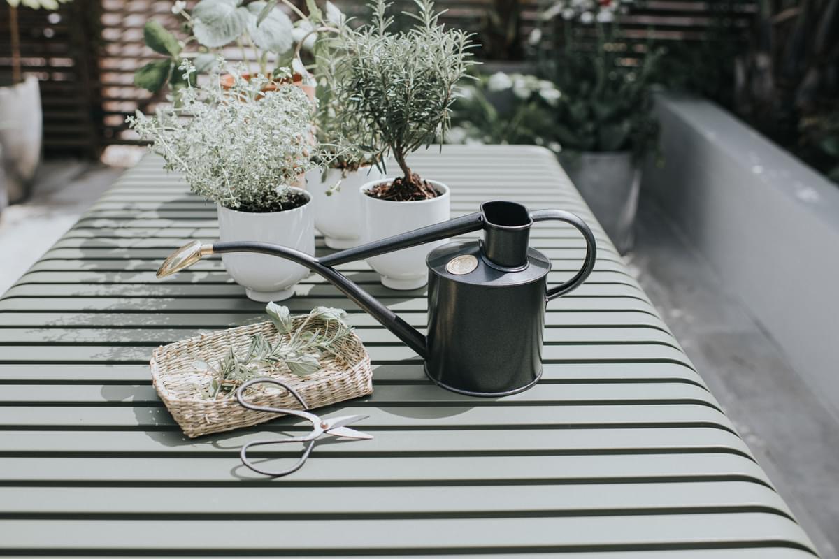 The Rowley Ripple - Houseplant Set - Graphite & Brass - Two Pint – US Haws Watering Cans