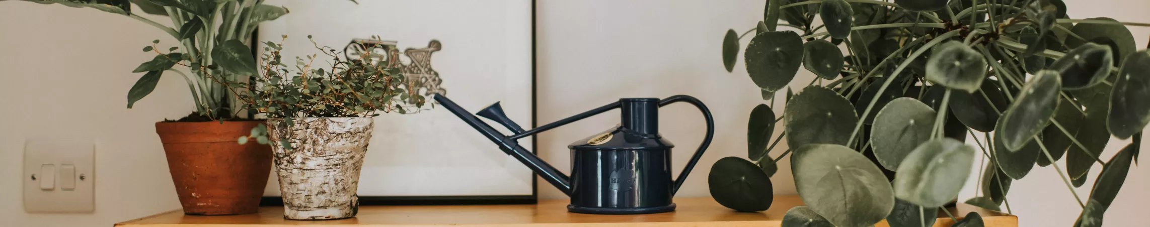 Indoor Plastic Watering Cans – Haws US