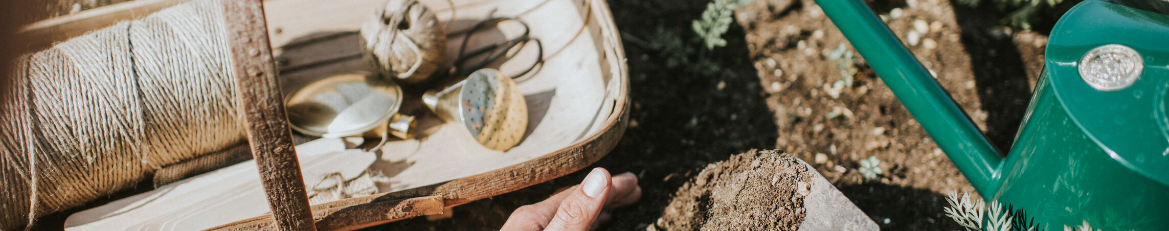 Watering Can and Rose Sets – Haws US