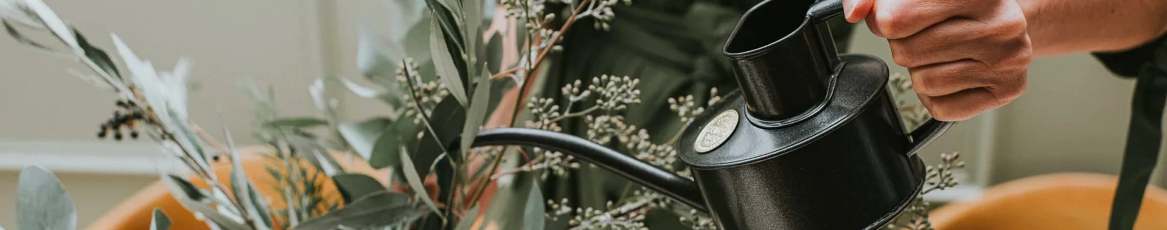 Can and Jug Sets – Haws US