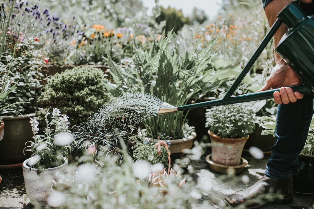 The Warley Fall - Potting Kit - Two Gallon – Haws US