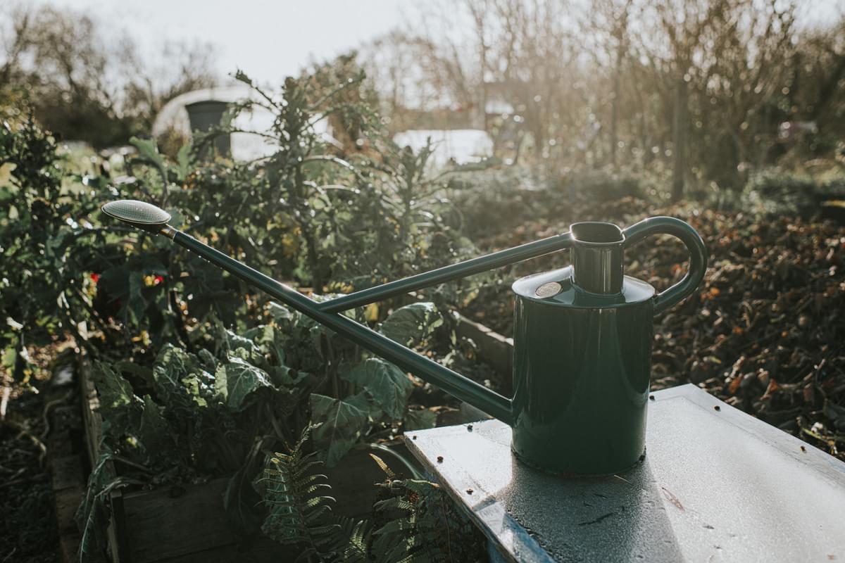 The Warley Fall - Starter Kit - Two Gallon – Haws US